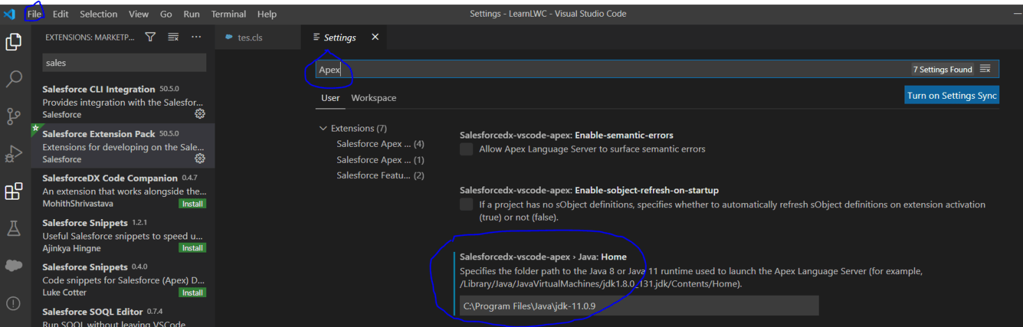 How to Set-Up VS Code for Salesforce (Simplest way to follow) – JPs Blog